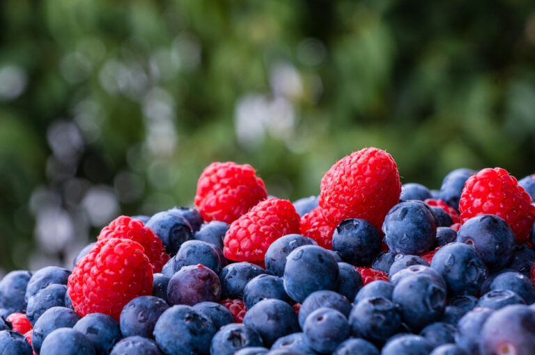 Fruit riche en antioxydants : quels fruits contiennent le plus d ...